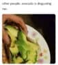 35+ Funny Avocado Memes Ripe For Laughs (April 4, 2024)