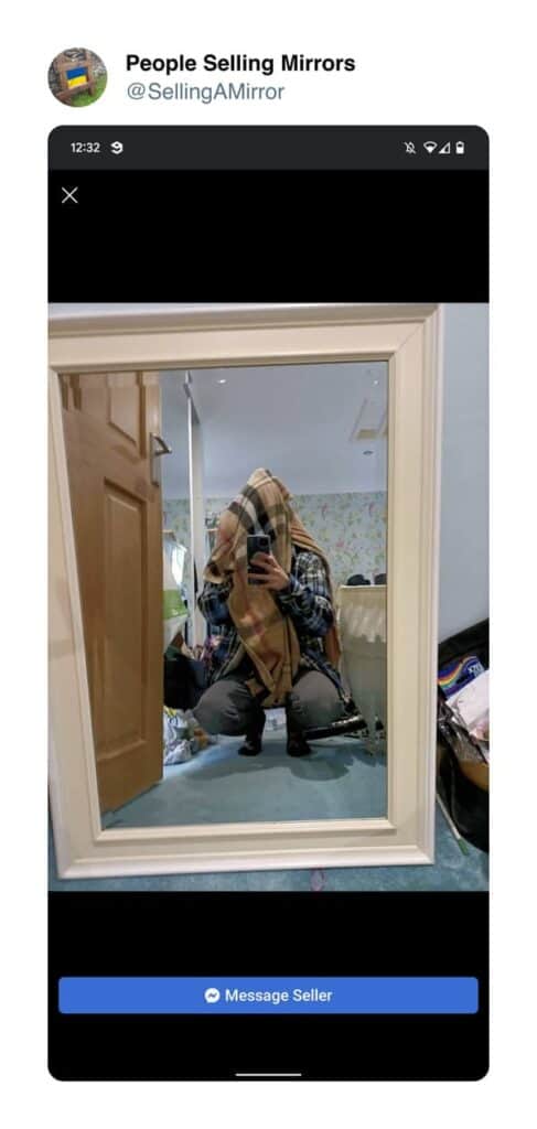 35+ Ridiculously Funny Mirror Selling Attempts By Sellers