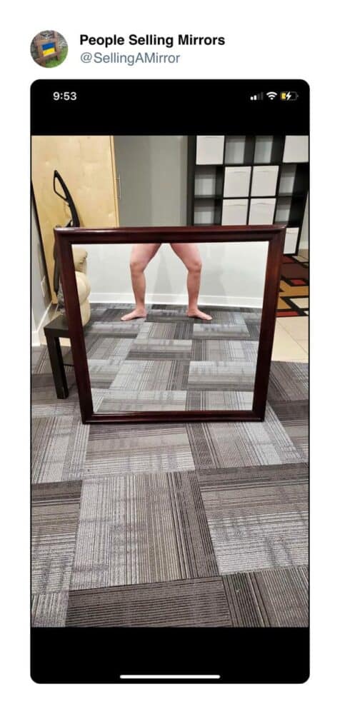 35+ Ridiculously Funny Mirror Selling Attempts By Sellers