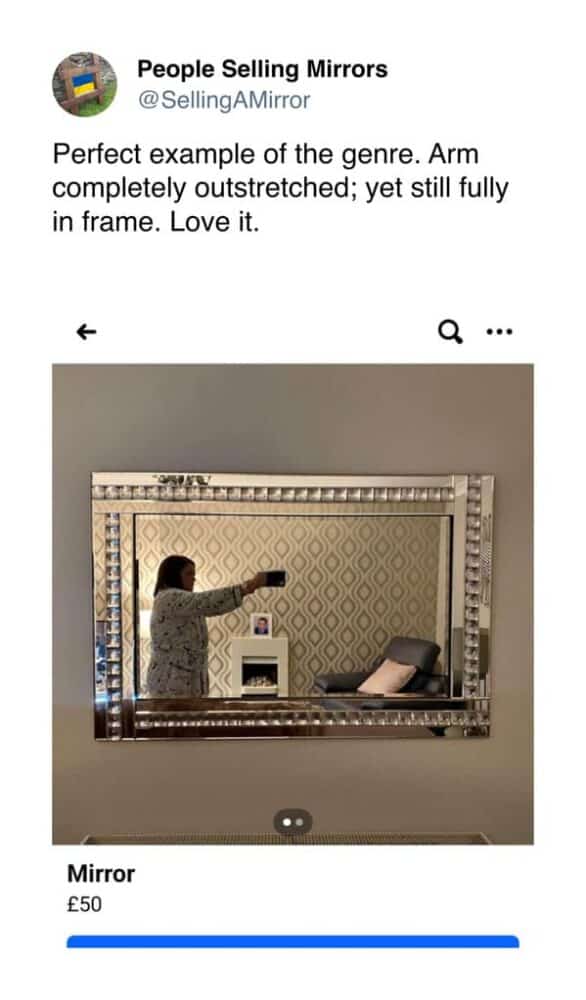35+ Ridiculously Funny Mirror Selling Attempts By Sellers
