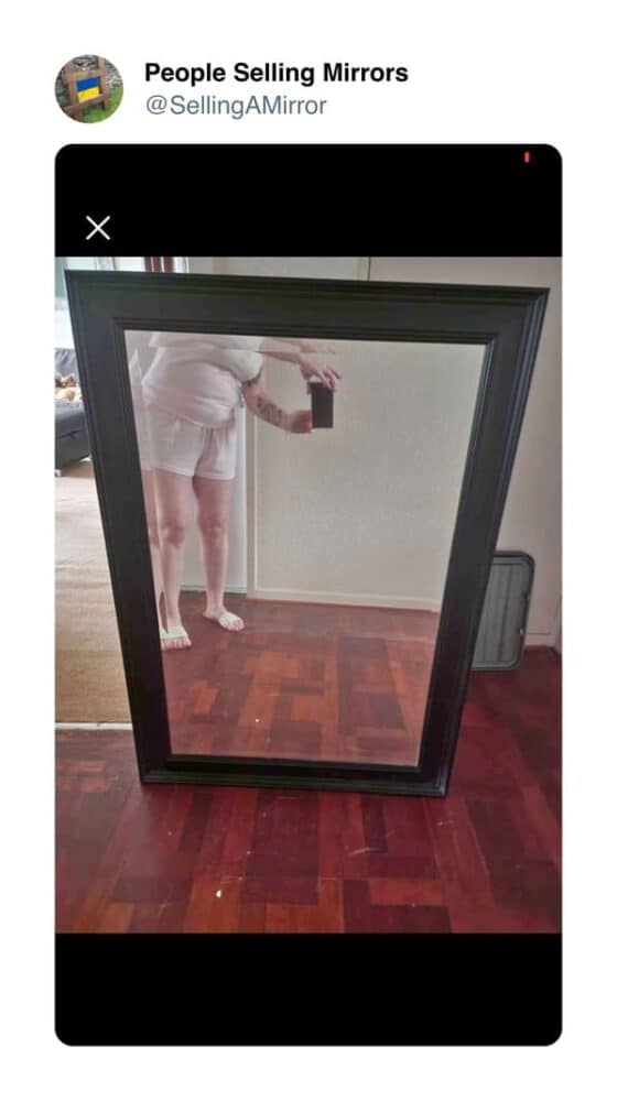 35+ Ridiculously Funny Mirror Selling Attempts By Sellers