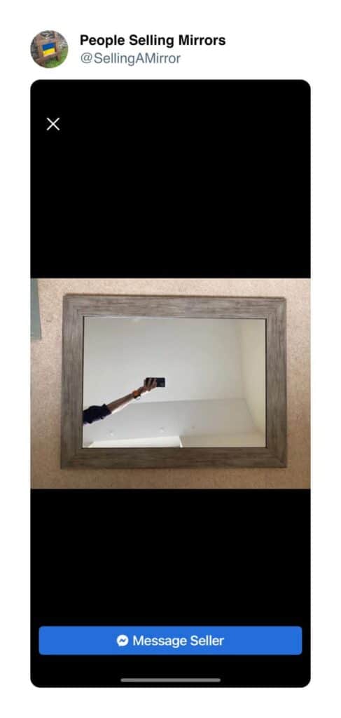 35+ Ridiculously Funny Mirror Selling Attempts By Sellers