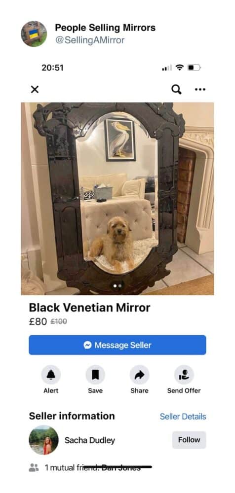 35+ Ridiculously Funny Mirror Selling Attempts By Sellers