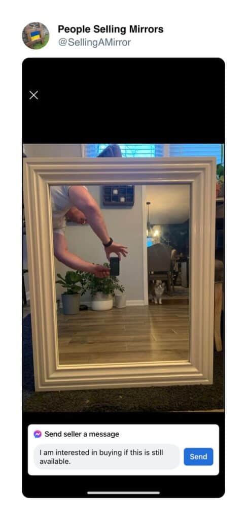 35+ Ridiculously Funny Mirror Selling Attempts By Sellers