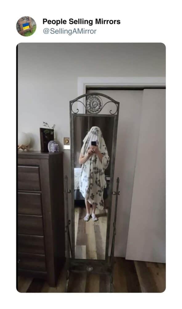 35+ Ridiculously Funny Mirror Selling Attempts By Sellers