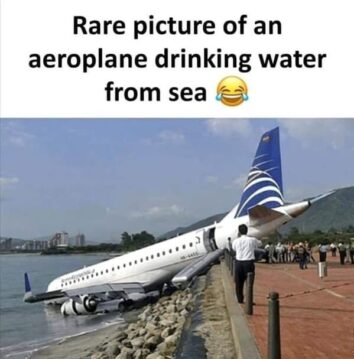 35+ Funny Memes Making Airport Delays Worth The Wait (April 23, 2024)