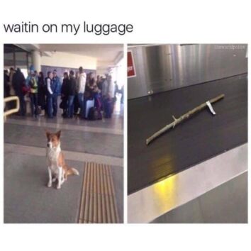 39 Funniest Memes About Air Travel That Make Your Flight Delays Almost ...