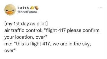 39 Funniest Memes About Air Travel That Make Your Flight Delays Almost ...