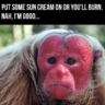 35 Funny Sunburn Memes For Us Pale-Skinned Summer Warriors Who Don't ...