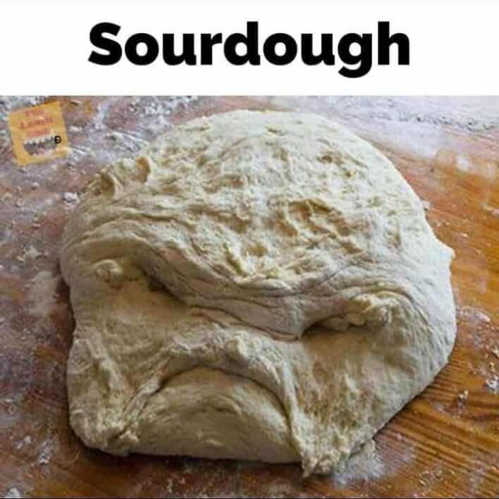 28 Sourdough Memes For New Bakers Feeding Their Starter Like A Tamagotchi