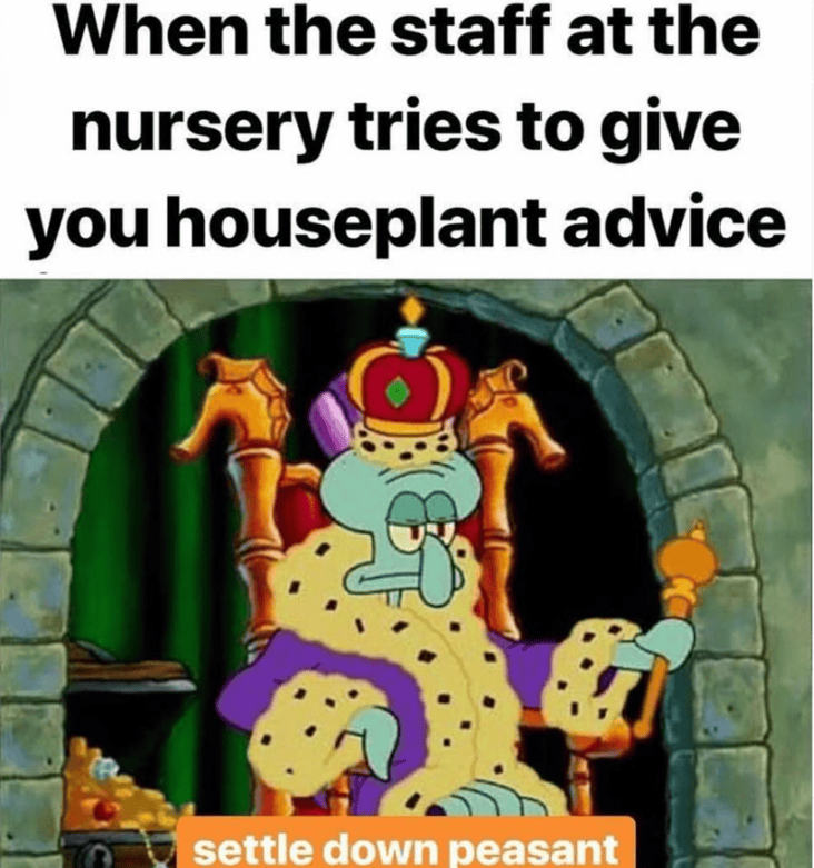 36 Plant Memes Grown From The Fertile Soil Of The Internet (April 4, 2024)