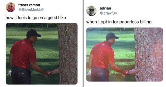 25 Times Tiger Woods' Handshake With A Tree Became A Hilarious Meme
