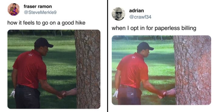 25 Times Tiger Woods' Handshake With A Tree Became A Hilarious Meme
