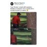 25 Times Tiger Woods' Handshake With A Tree Became A Hilarious Meme