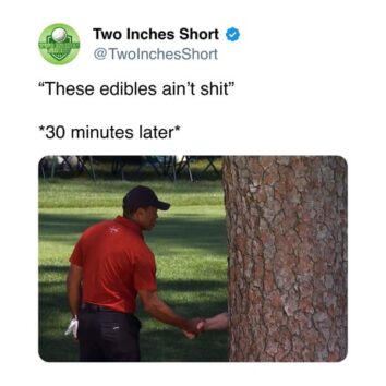 25 Times Tiger Woods' Handshake With A Tree Became A Hilarious Meme