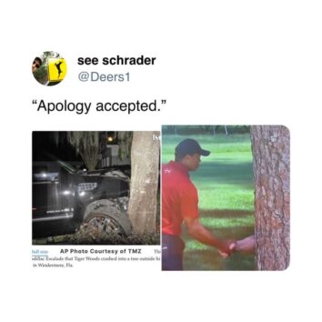 25 Times Tiger Woods' Handshake With A Tree Became A Hilarious Meme