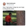 25 Times Tiger Woods' Handshake With A Tree Became A Hilarious Meme