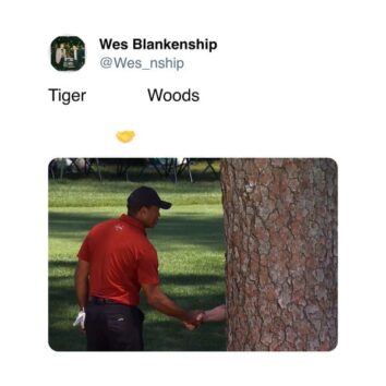 25 Times Tiger Woods' Handshake With A Tree Became A Hilarious Meme