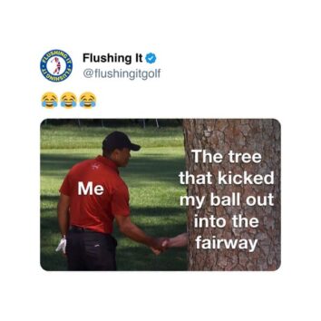25 Times Tiger Woods' Handshake With A Tree Became A Hilarious Meme