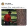 25 Times Tiger Woods' Handshake With A Tree Became A Hilarious Meme