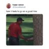 25 Times Tiger Woods' Handshake With A Tree Became A Hilarious Meme