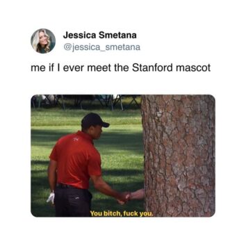 25 Times Tiger Woods' Handshake With A Tree Became A Hilarious Meme