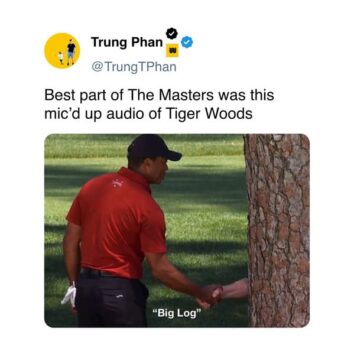 25 Times Tiger Woods' Handshake With A Tree Became A Hilarious Meme