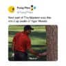 25 Times Tiger Woods' Handshake With A Tree Became A Hilarious Meme