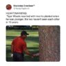 25 Times Tiger Woods' Handshake With A Tree Became A Hilarious Meme