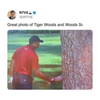 25 Times Tiger Woods' Handshake With A Tree Became A Hilarious Meme