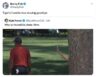 25 Times Tiger Woods' Handshake With A Tree Became A Hilarious Meme