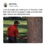 25 Times Tiger Woods' Handshake With A Tree Became A Hilarious Meme