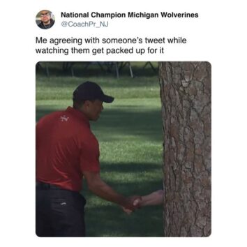25 Times Tiger Woods' Handshake With A Tree Became A Hilarious Meme