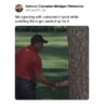 25 Times Tiger Woods' Handshake With A Tree Became A Hilarious Meme