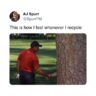 25 Times Tiger Woods' Handshake With A Tree Became A Hilarious Meme