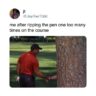25 Times Tiger Woods' Handshake With A Tree Became A Hilarious Meme