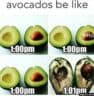 35+ Funny Avocado Memes Ripe For Laughs (April 4, 2024)