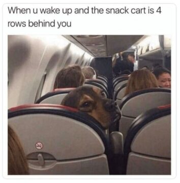 39 Funniest Memes About Air Travel That Make Your Flight Delays Almost ...