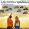 32 Van Life Memes Roasting The Digital Nomads Living In $80K Vans