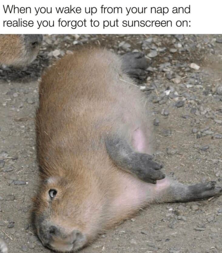 35 Funny Sunburn Memes For Us Pale-Skinned Summer Warriors Who Don't ...