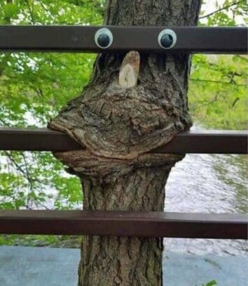 50 Weird And Funny Pics That'll Make You Say "I Have Now Seen The Whole ...