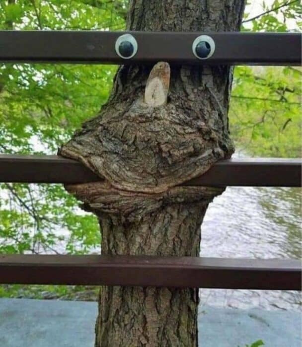 50 Weird And Funny Pics That'll Make You Say "I Have Now Seen The Whole ...