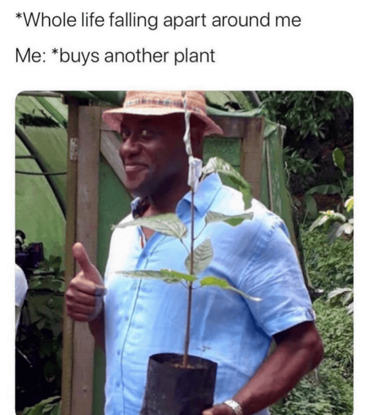 36 Plant Memes Grown From The Fertile Soil Of The Internet (April 4, 2024)