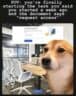 45 Hilariously Relatable Work Memes To Power You Through The Workday ...