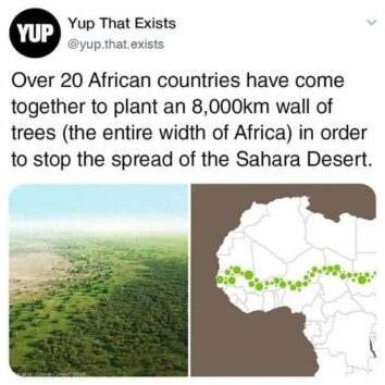 55 Hilariously Weird But Still 100% Real Things As Shared On "Yup, That ...