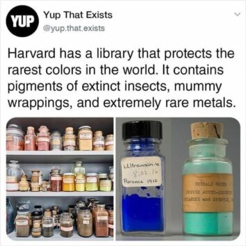 55 Hilariously Weird But Still 100% Real Things As Shared On "Yup, That ...