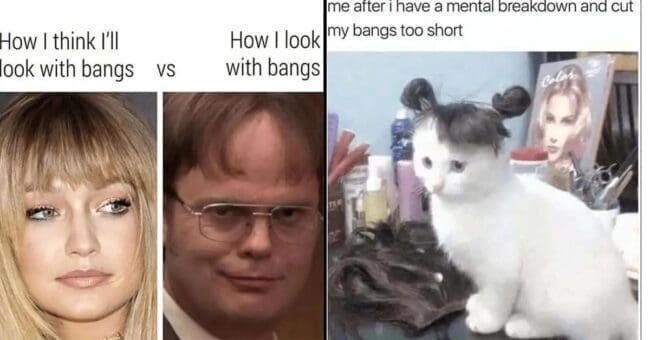 35 Funny Memes About Cutting Your Own Bangs From Women Who Made The ...