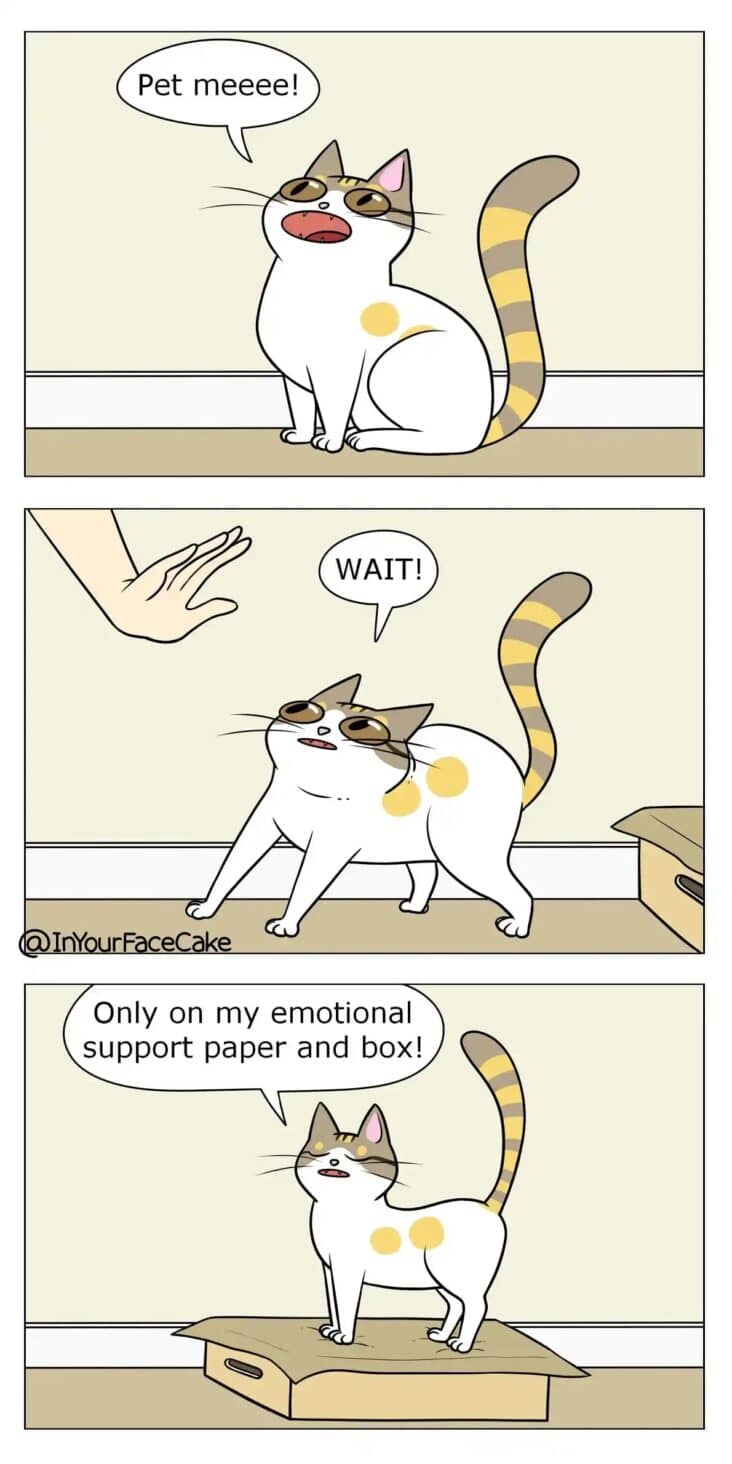 35 Relatable Comics From The Hilarious Artist Of "In Your Face Cake"