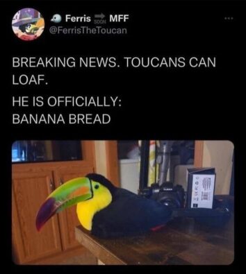 45 Wholesomely Funny Animal Memes To End The Week Strong (May 24, 2024)