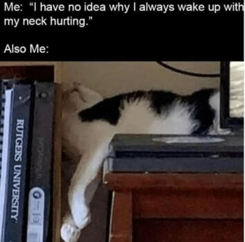 45 Wholesomely Funny Animal Memes To End The Week Strong (May 24, 2024)